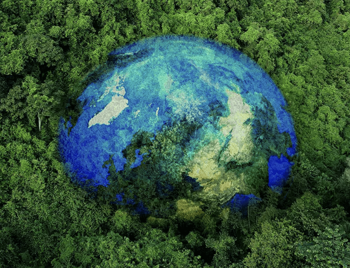 Going Negative: How Canada Can Help Decarbonize the World - Policy Magazine